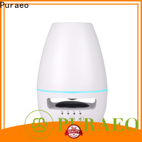 Best usb car aroma diffuser Supply | Puraeo