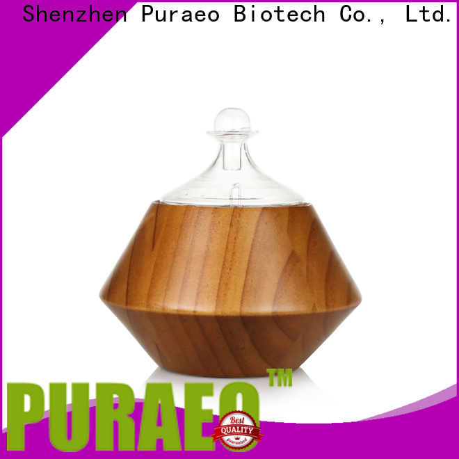 Top mini usb diffuser factory | Puraeo