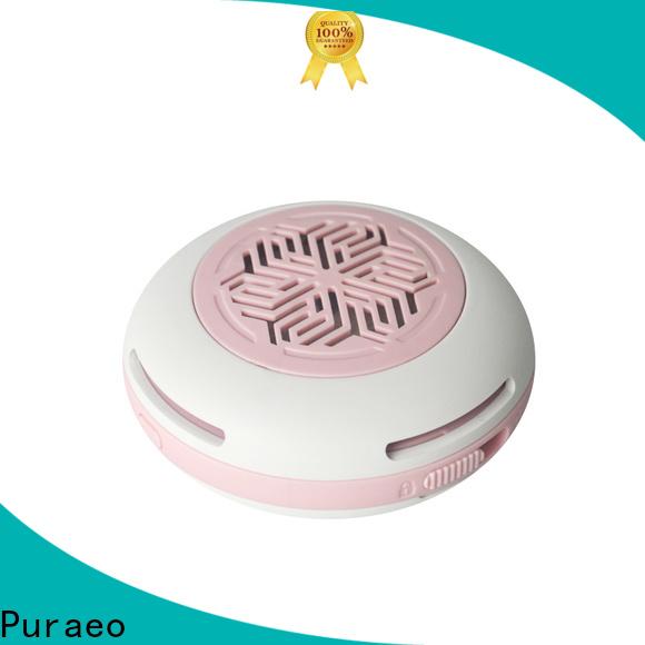 Latest mini usb diffuser factory | Puraeo