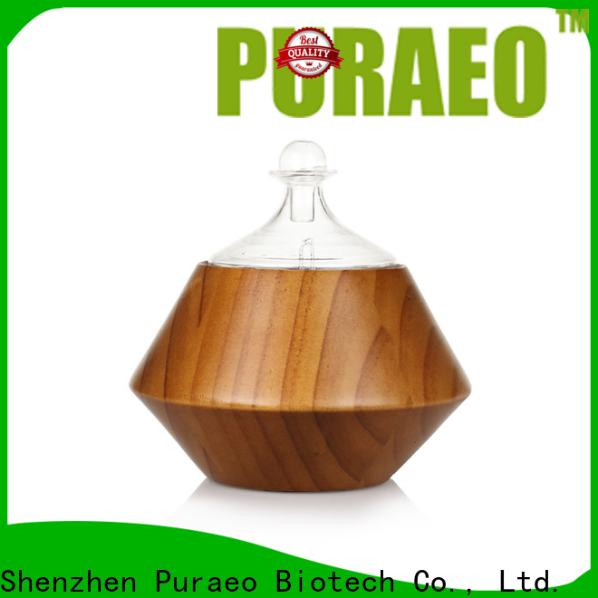 Custom portable usb diffuser factory | Puraeo