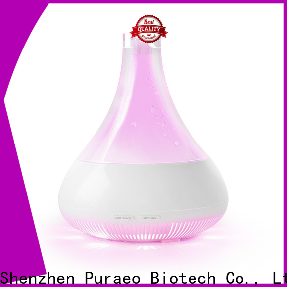High-quality usb aromatherapy diffuser factory | Puraeo