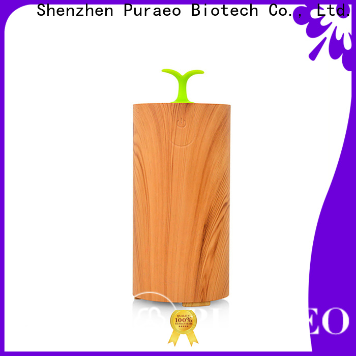 Latest mini usb essential oil diffuser company | Puraeo