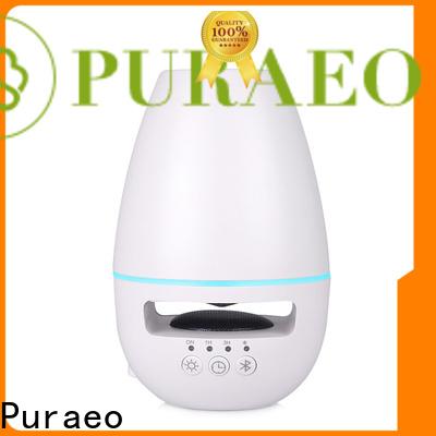 Best mini usb diffuser company | Puraeo