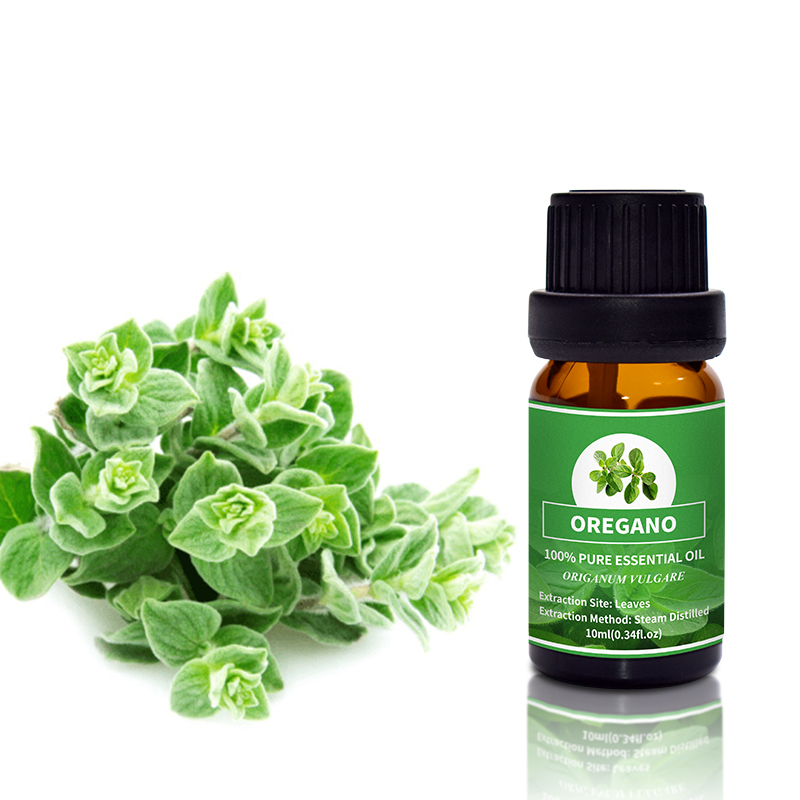 Oregano Essential Oil For Body Relaxing | Puraeo