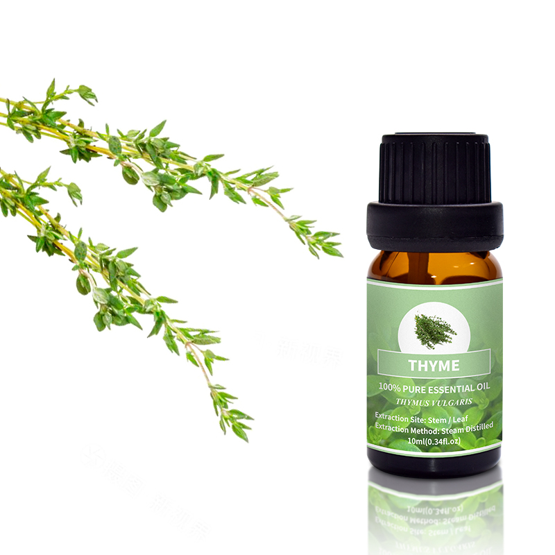 Thyme Essential Oil For Home Humidifiers | Puraeo